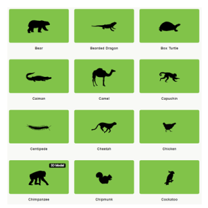 GreenScreen Animals – Animator's Resource Kit